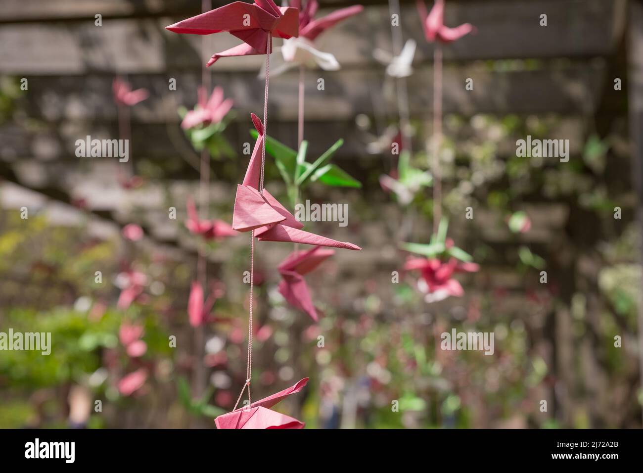 origami crane birds hanging on the threads in the garden oposit the sun ...