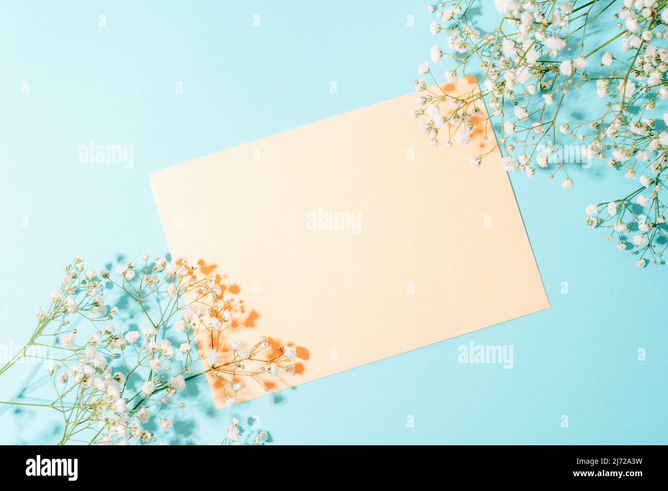 Orange blank sheet on blue background with gypsophila flowers in ...
