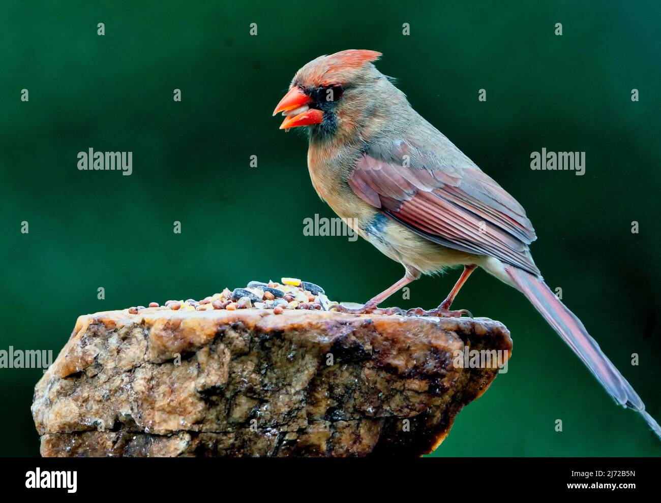A stone slab hi-res stock photography and images - Alamy