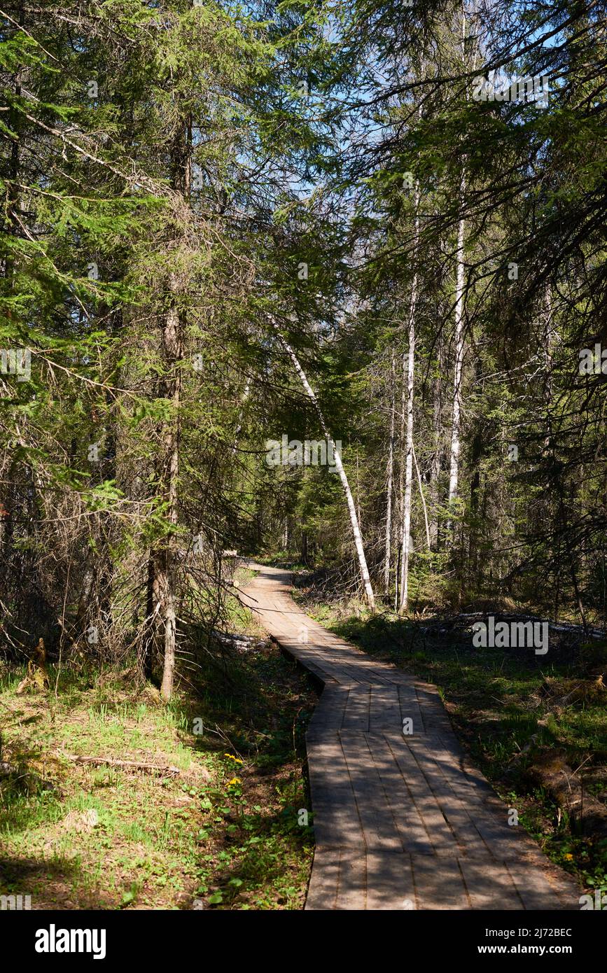 Empty walking path hi-res stock photography and images - Alamy