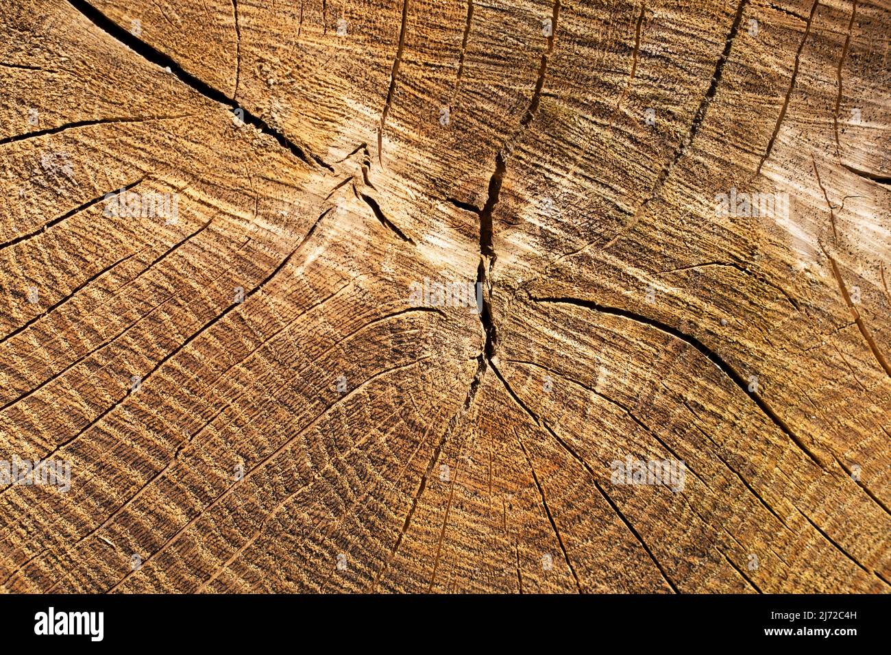 Timber cross hi-res stock photography and images - Alamy