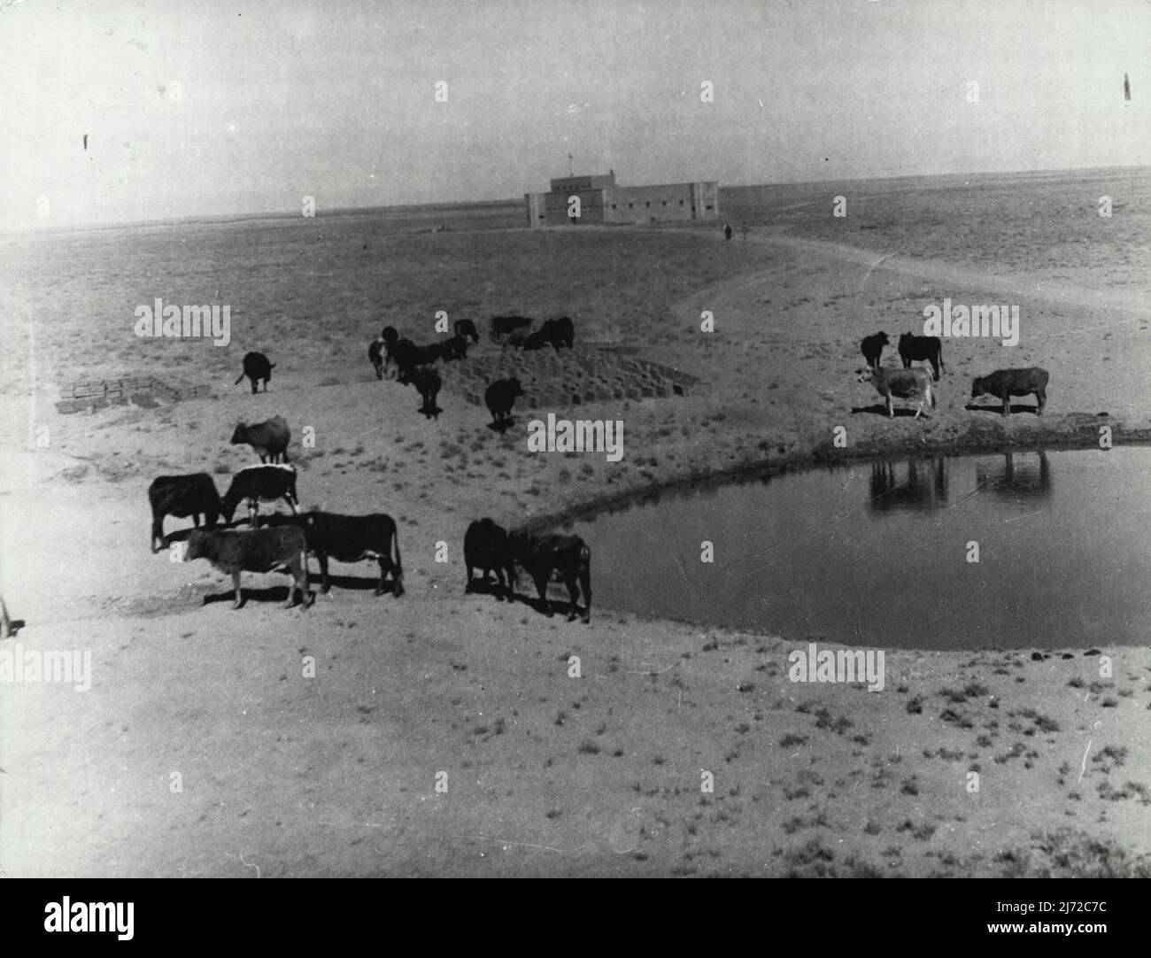 Damascus the black and white hi-res stock photography and images - Alamy