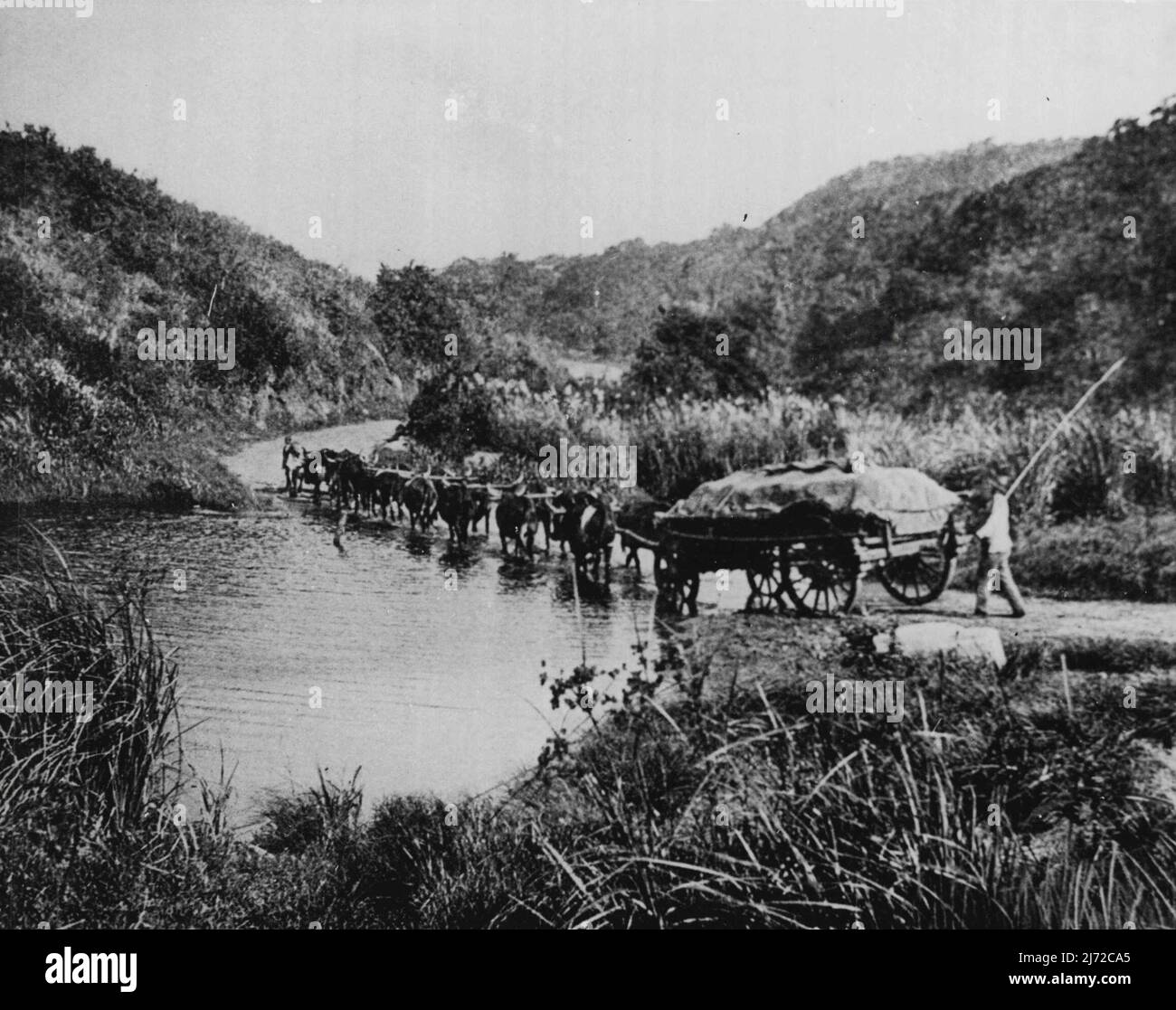 Boer trek hi-res stock photography and images - Alamy