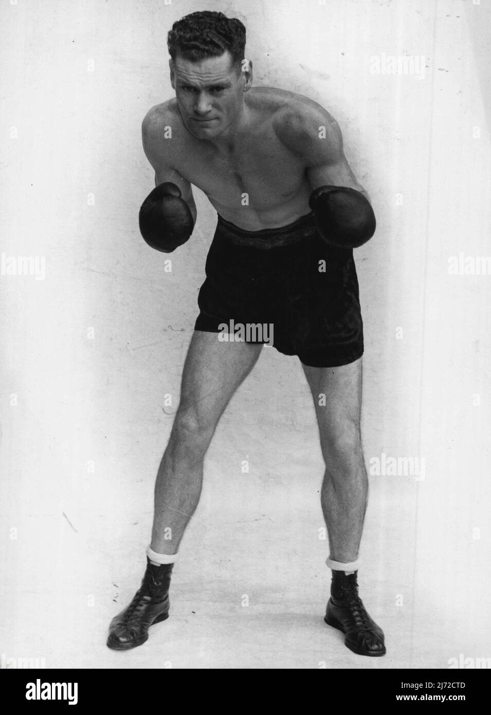 Australian boxer hi-res stock photography and images - Alamy
