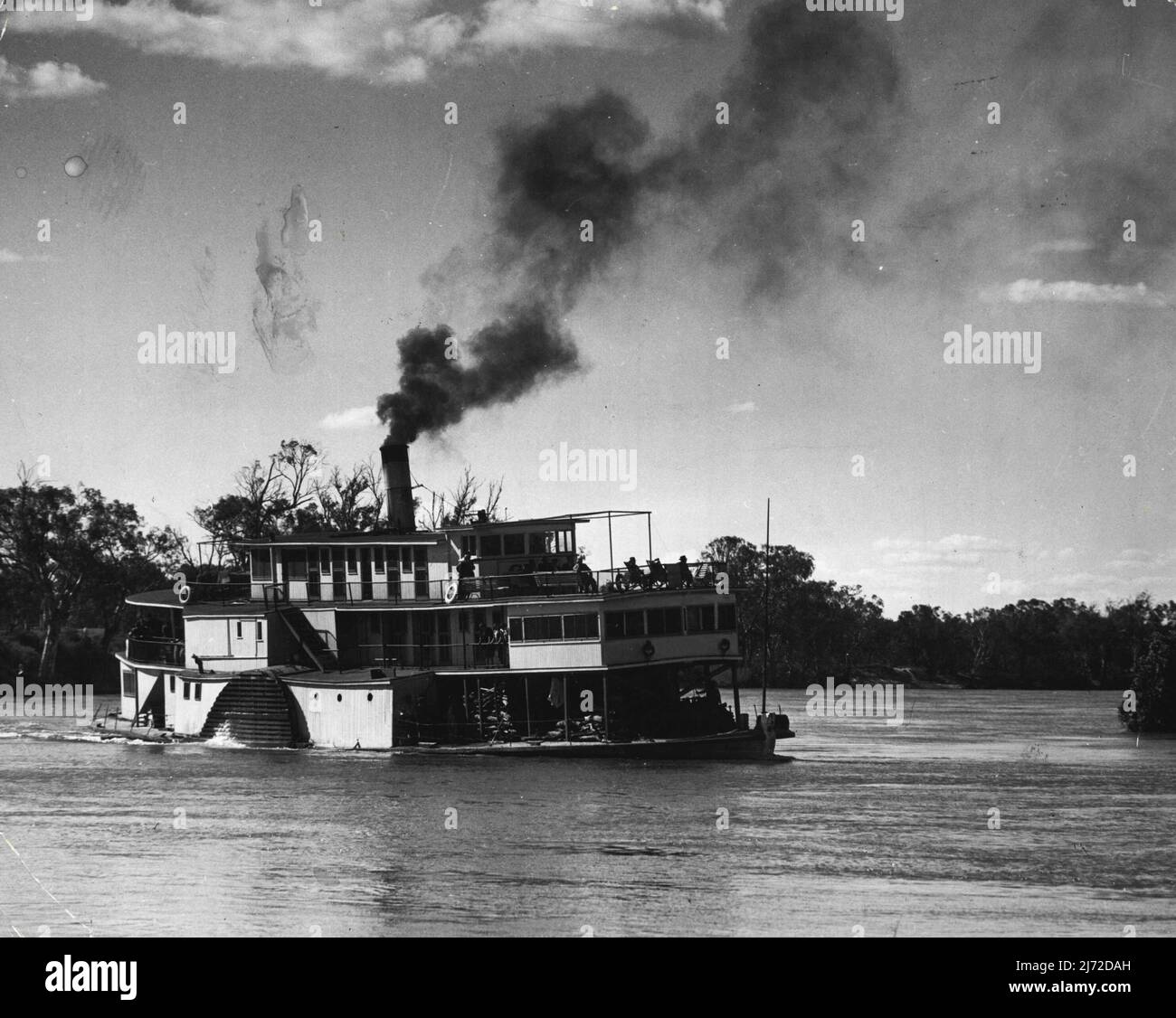 Paddle Streams - Murray River Boats. May 11, 1950 Stock Photo - Alamy
