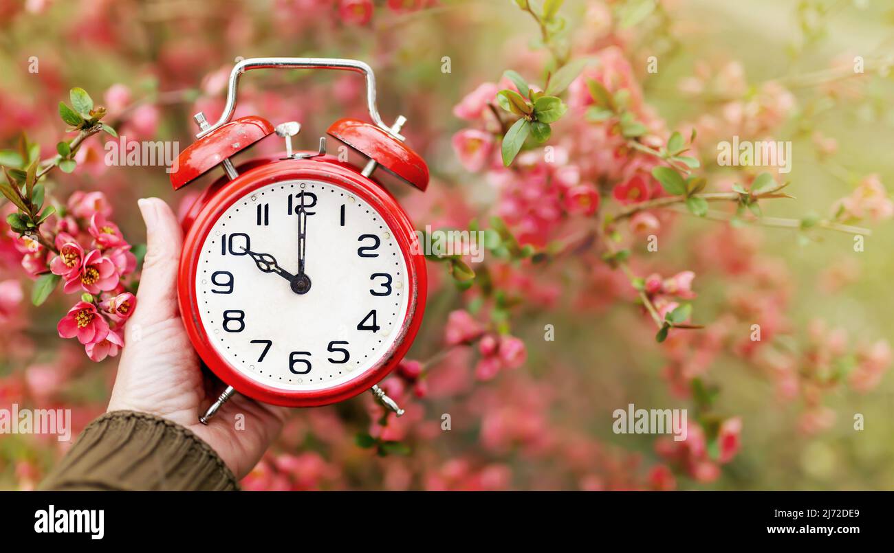 Hand holds a red classic alarm clock in a blooming flower bush. Time ...