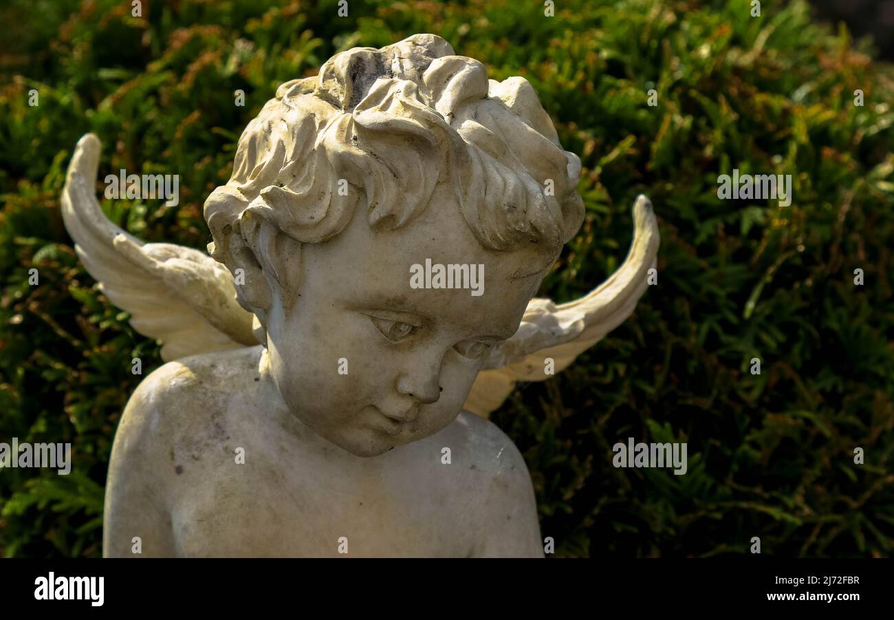 Close up of a white angel. Moment of grief at the end of a life. Last ...