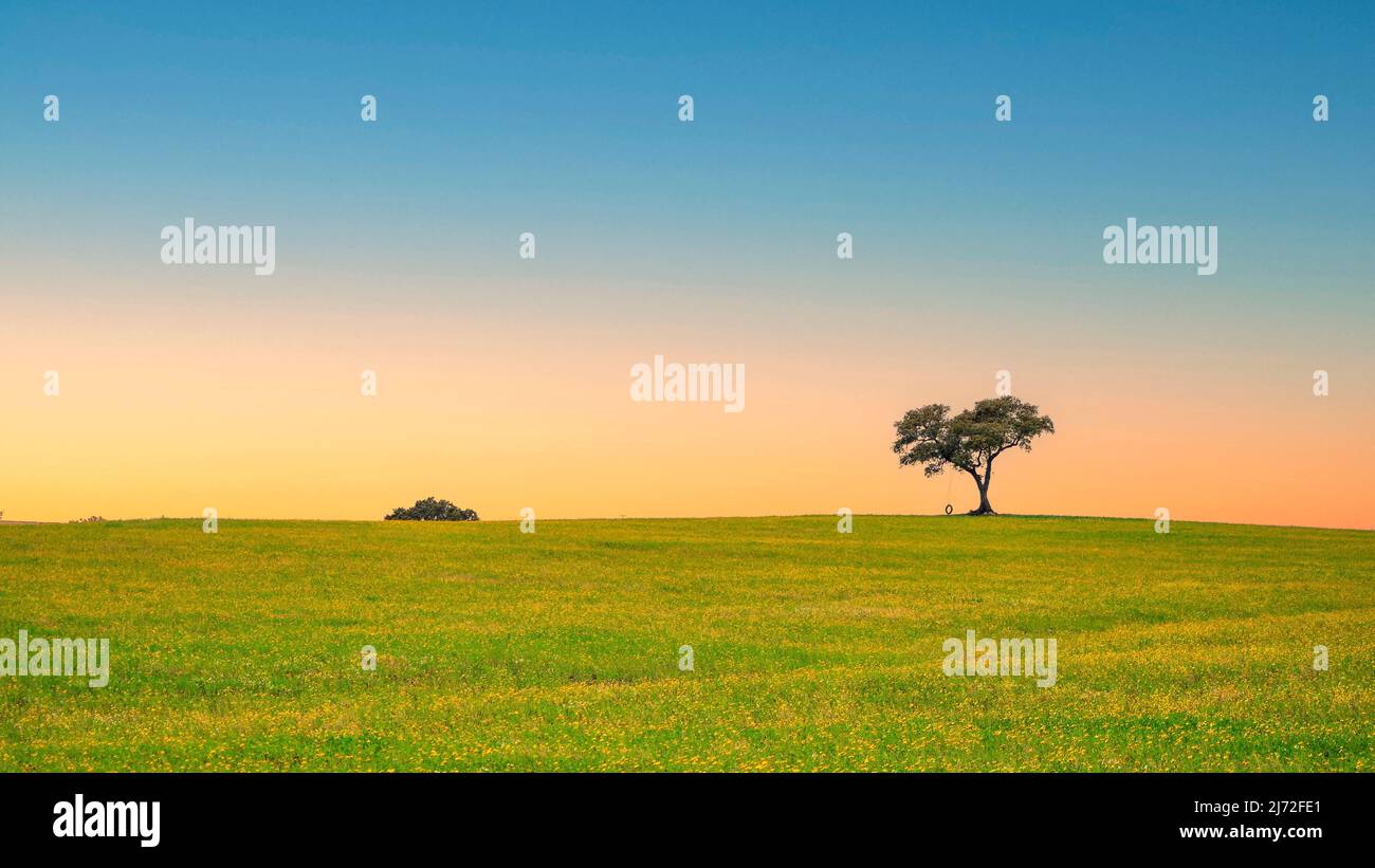 Freshness horizon hi-res stock photography and images - Alamy