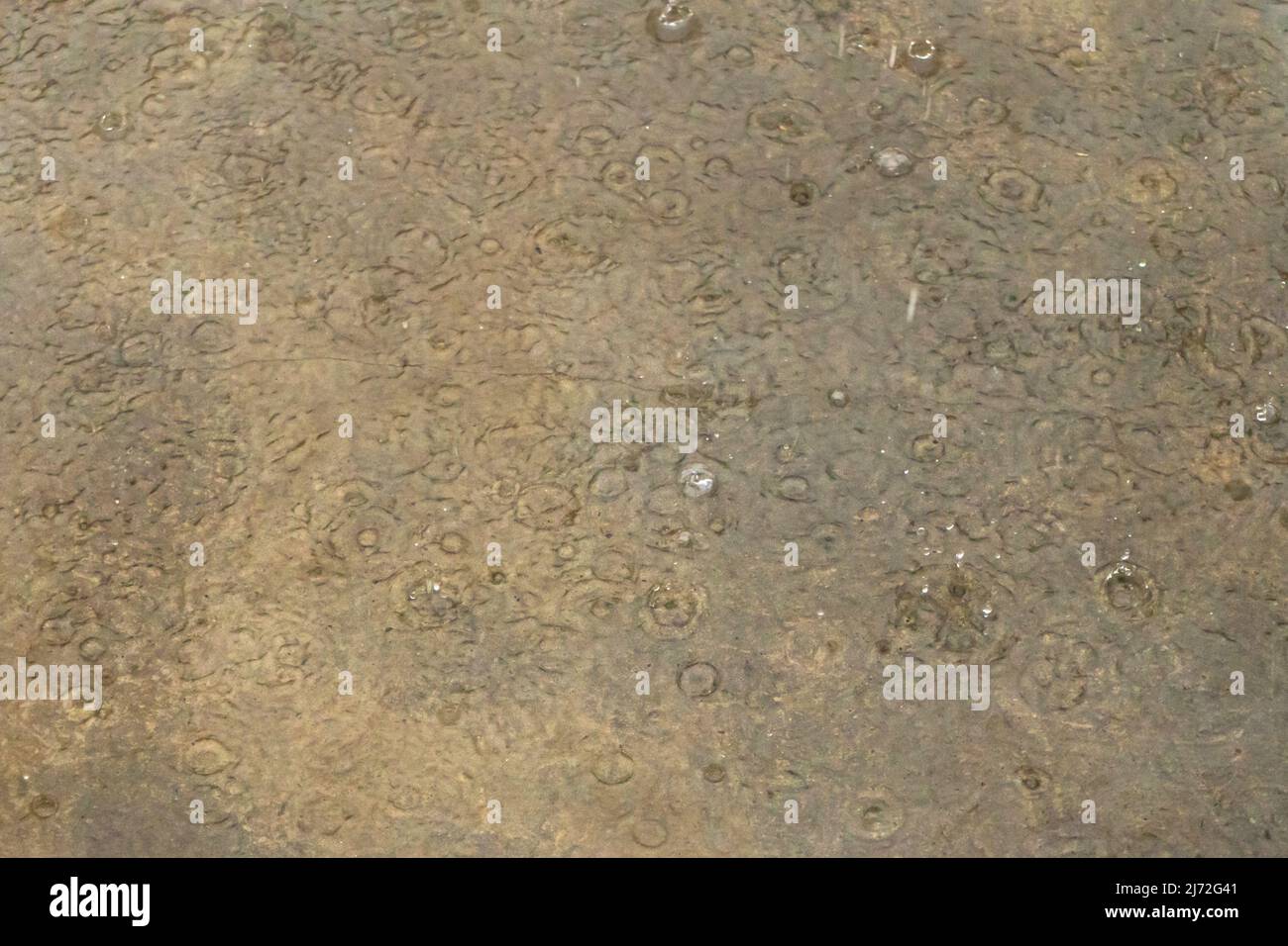 Heavy tropical rain on an island in Thailand. The road is under water ...