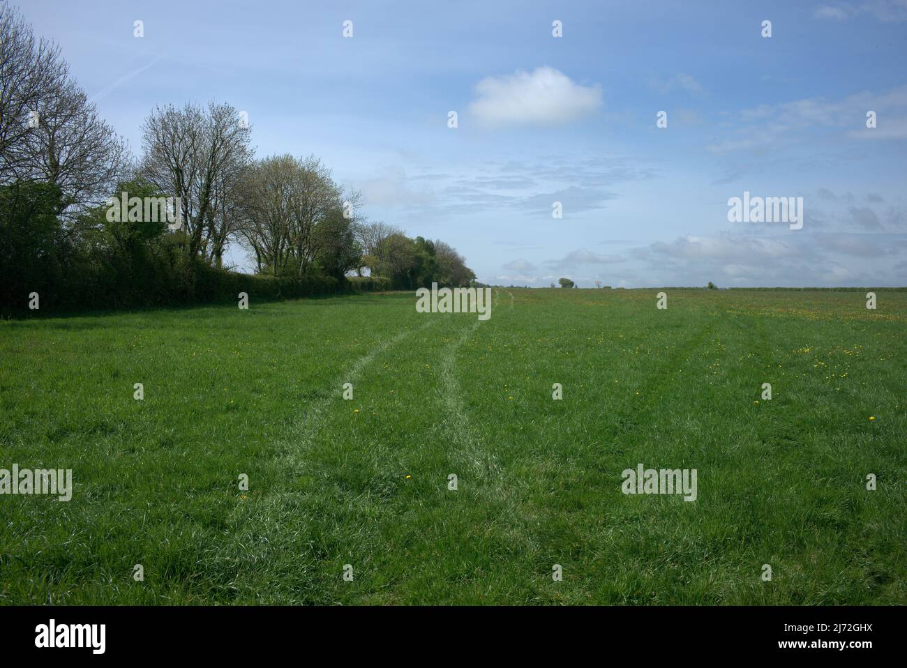 Photographs of the villlage of Luppitt and surrounding area in East ...