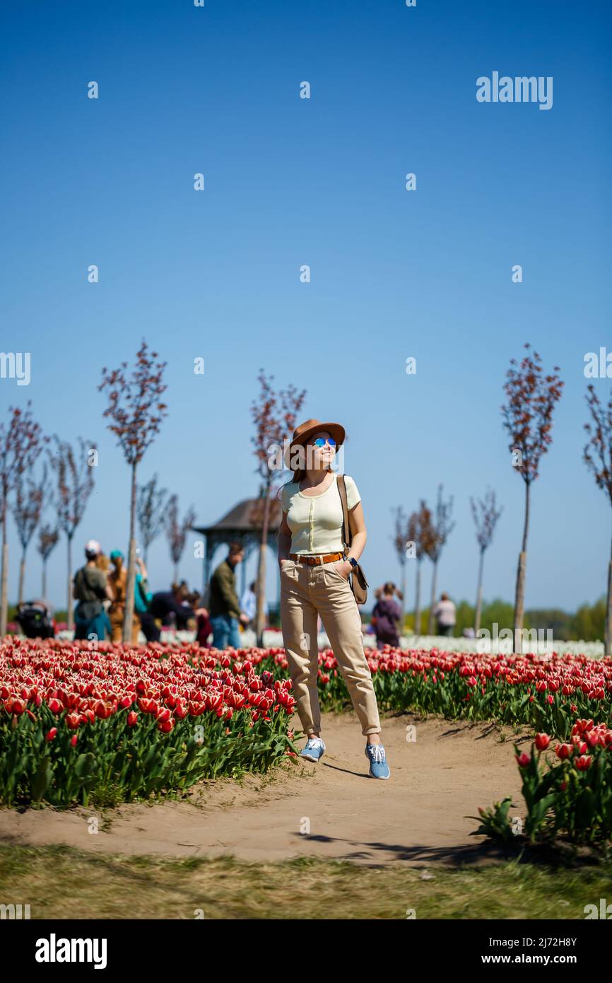 A beautiful slender woman in a hat stands in a blooming field of tulips ...