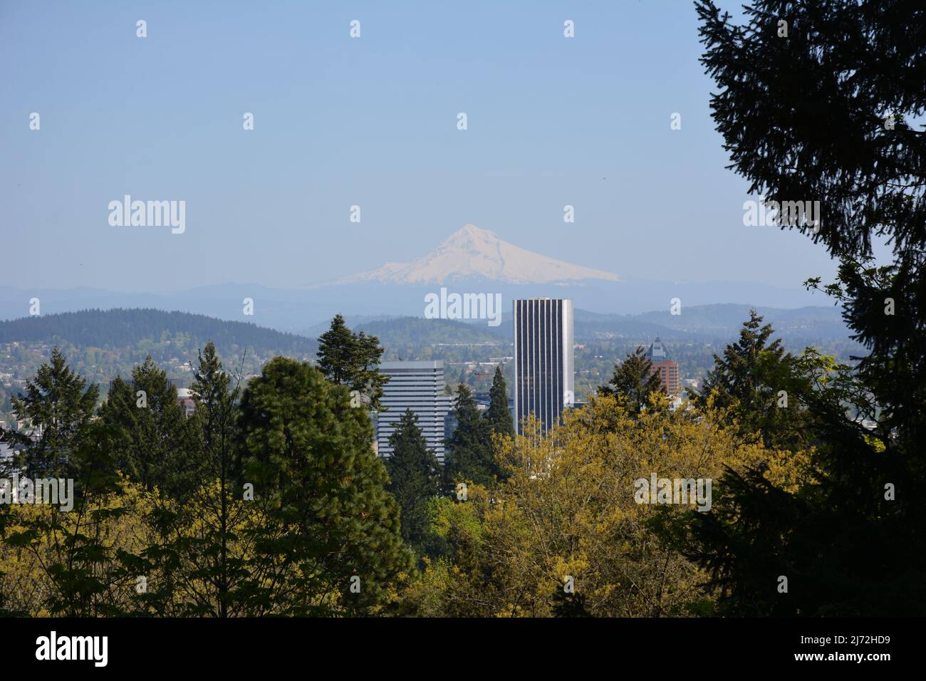A view of downtown Portland and snow-capped Mount Hood, Oregon's ...