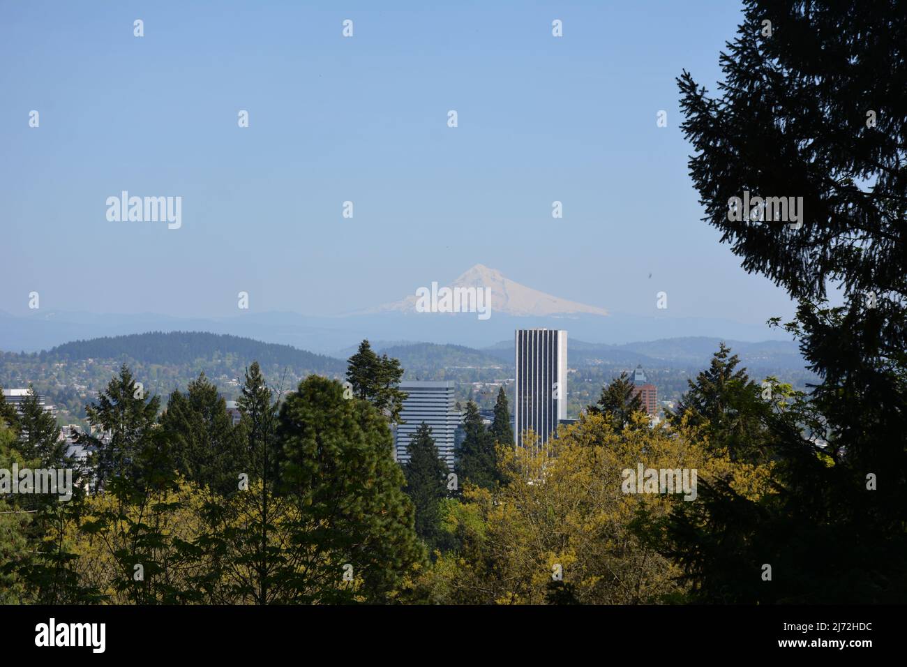 A view of downtown Portland and snow-capped Mount Hood, Oregon's ...