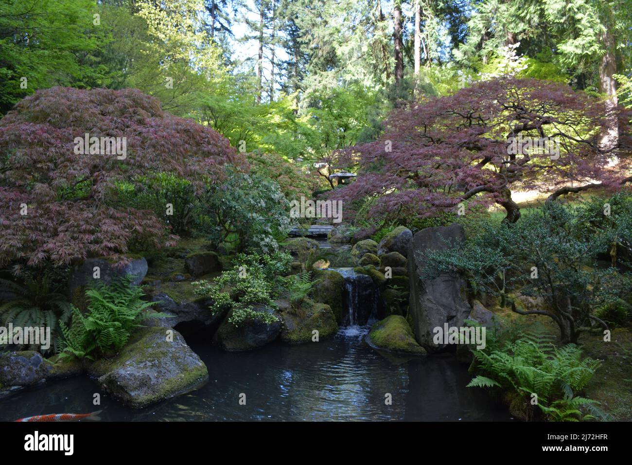 Car out pond hi-res stock photography and images - Alamy