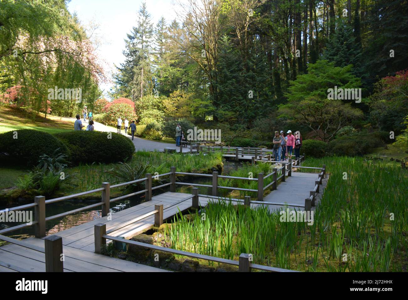 Visitors walkingon the wooden Zig Zag Bridge boardwalk at the Portland ...