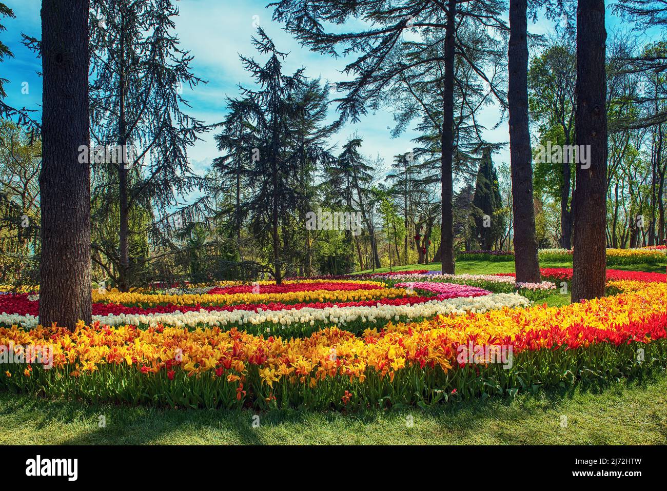 Emirgan Park, Istanbul Stock Photo - Alamy