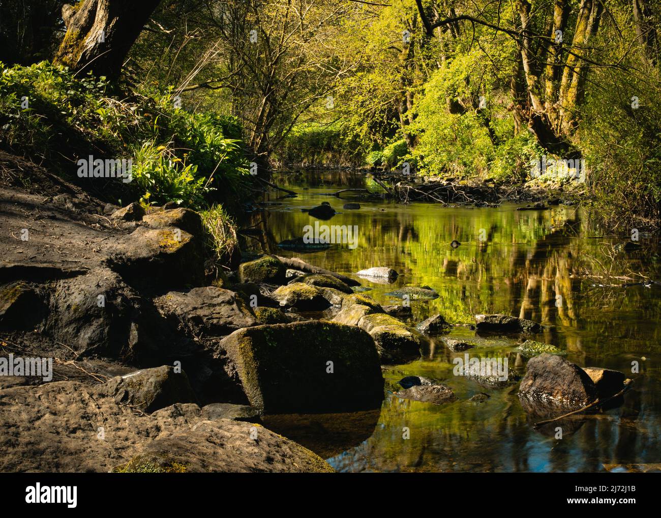 The Seaton Burn river running through Holywell Dene near Seaton Sluice ...