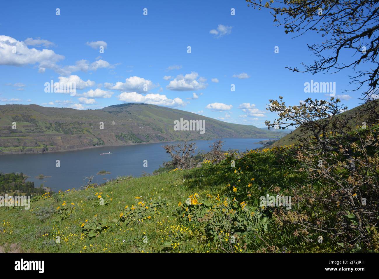 Views of the Columbia Gorge from a hiking trail in spring at the Tom ...