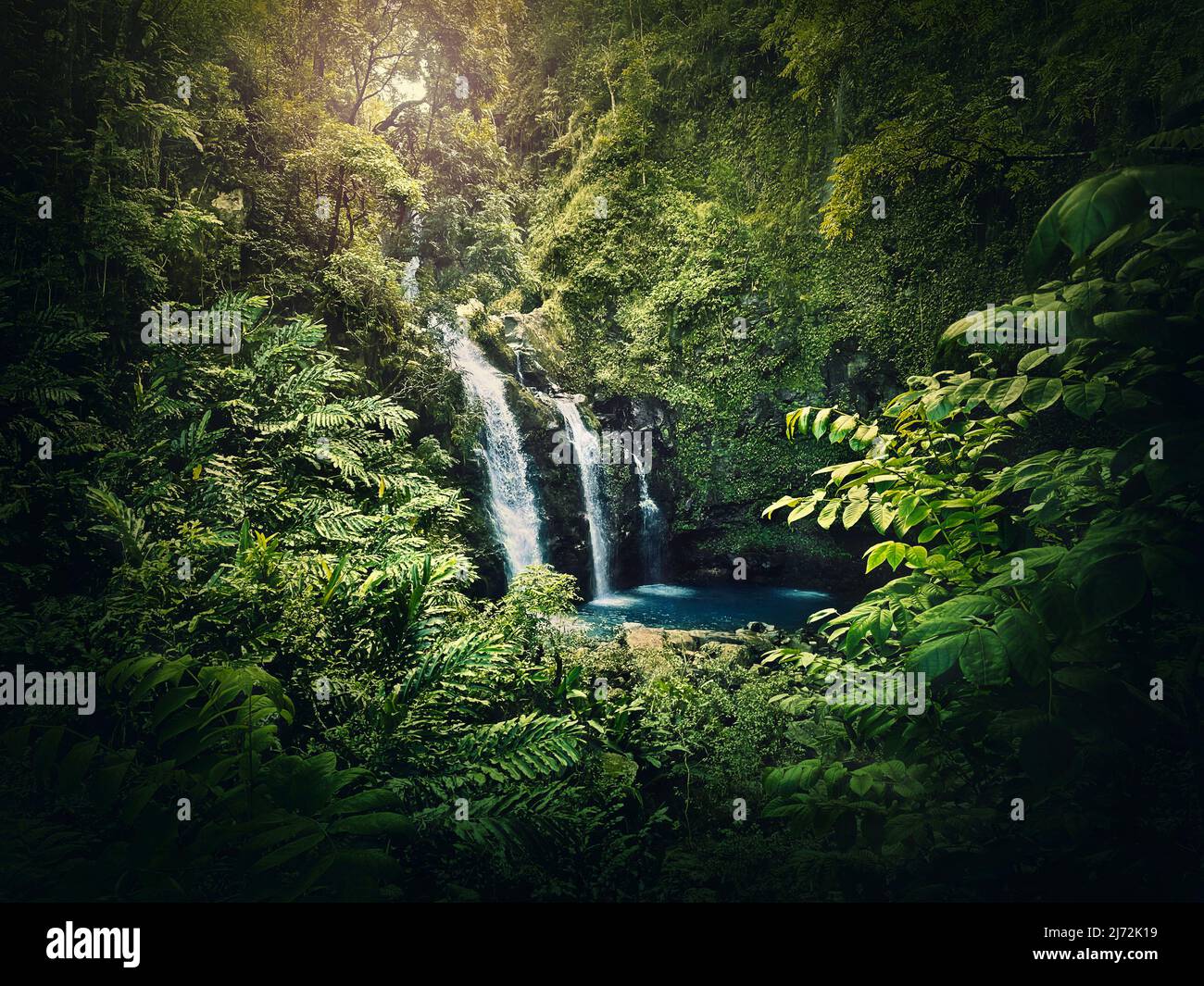 Bears in the wilderness hi-res stock photography and images - Alamy