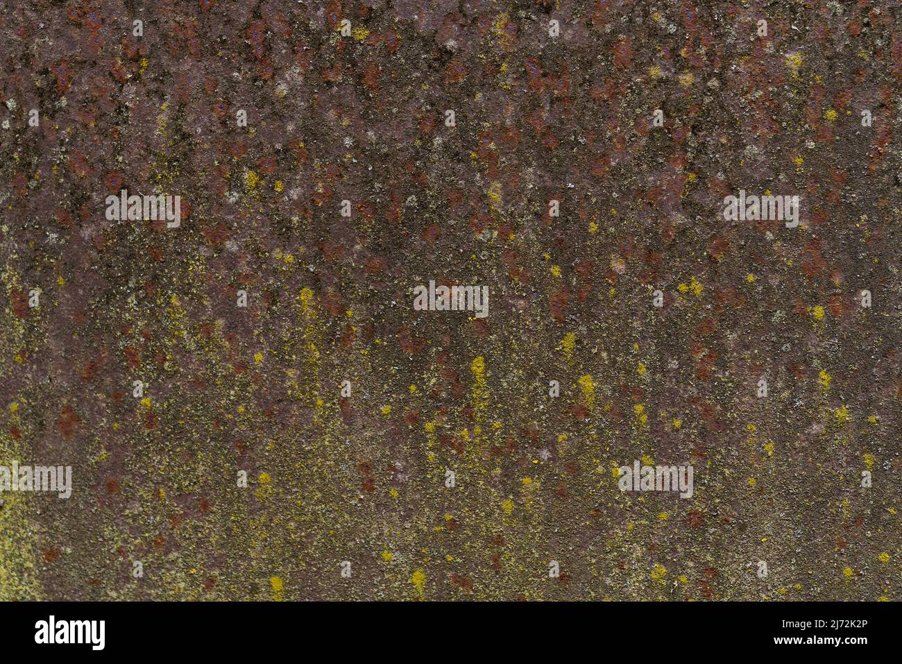 Painted iron surface with a large rusty, black spot and metal corrosion ...