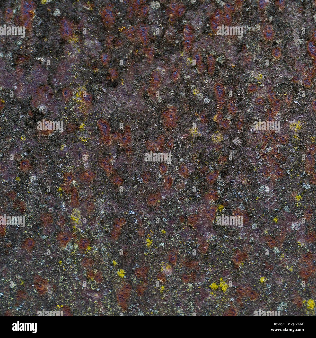 Painted iron surface with a large rusty, black spot and metal corrosion ...