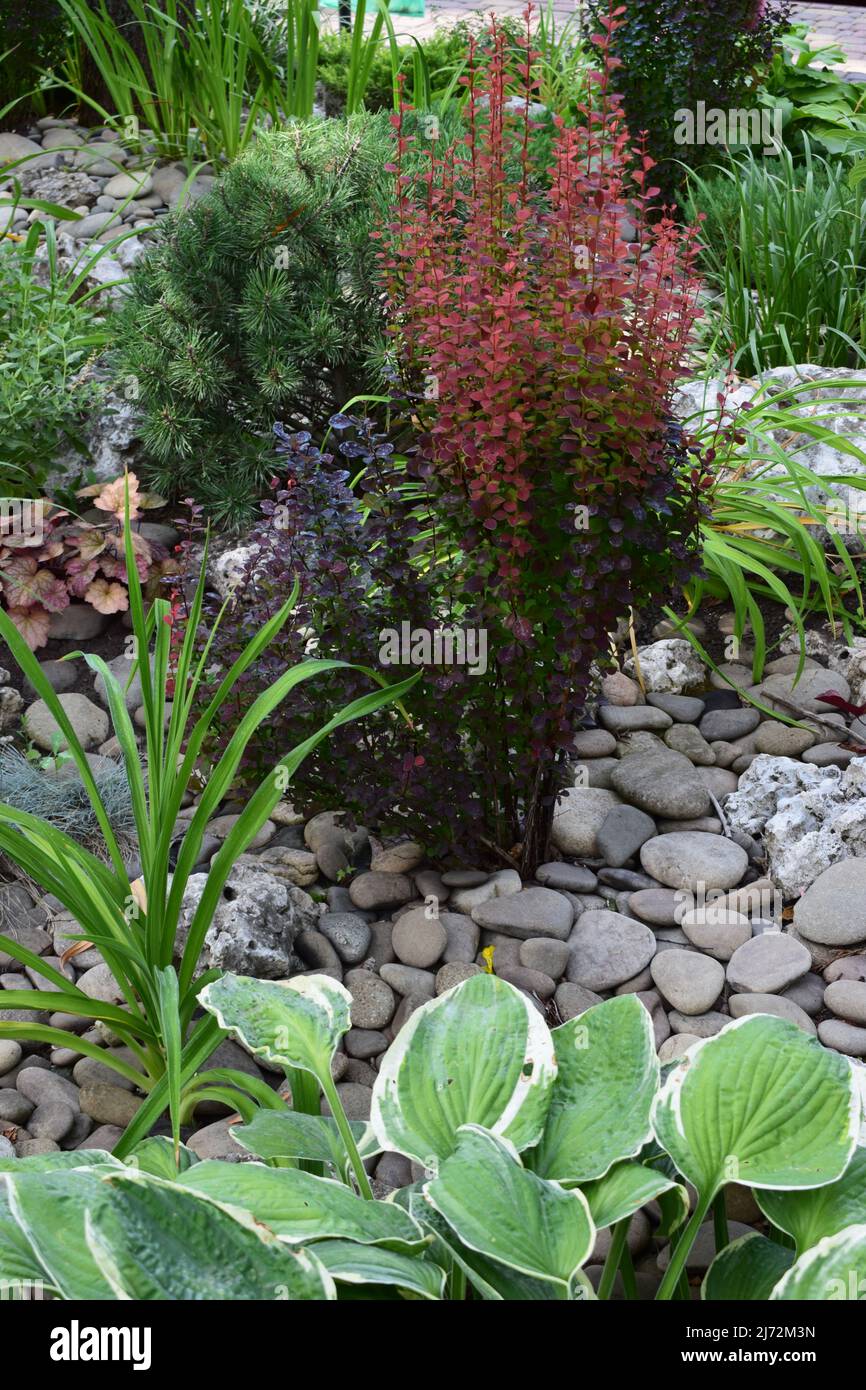 Park with shrubs and green lawns, landscape design Stock Photo - Alamy
