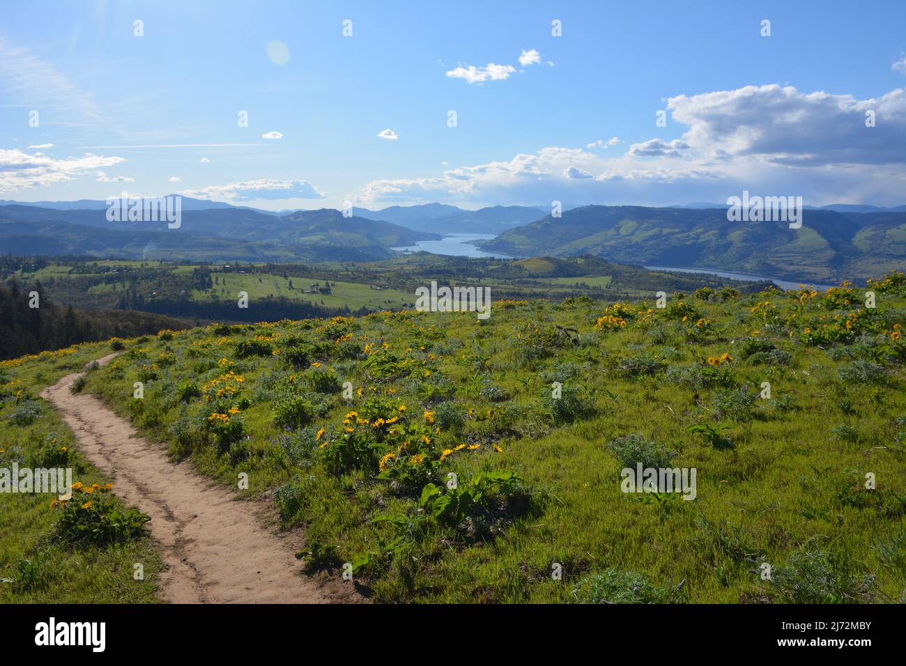 Views of the Columbia River and Columbia Gorge from a hiking trail in ...