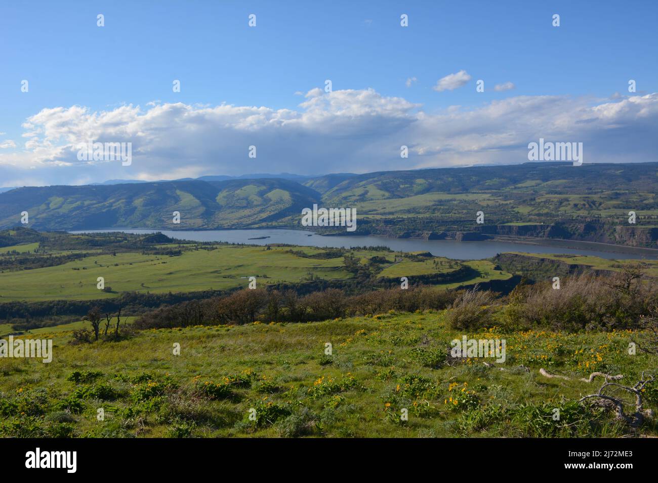 View of part of the Columbia Gorge and Columbia River from the Tom ...
