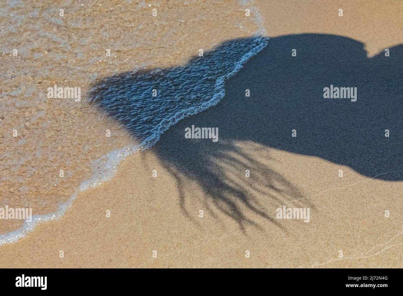 Shadow of a woman with long hir blowing in the wind at Lake Michigan ...