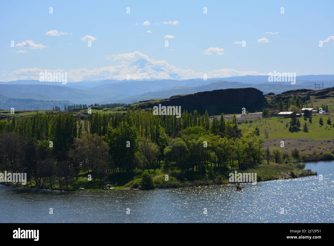 A view of Mt Hood in Oregon from Horsethief Butte in the Columbia Hills ...