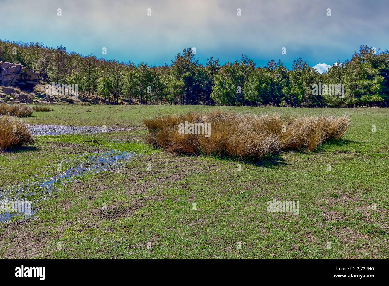 International environment day hi-res stock photography and images - Alamy