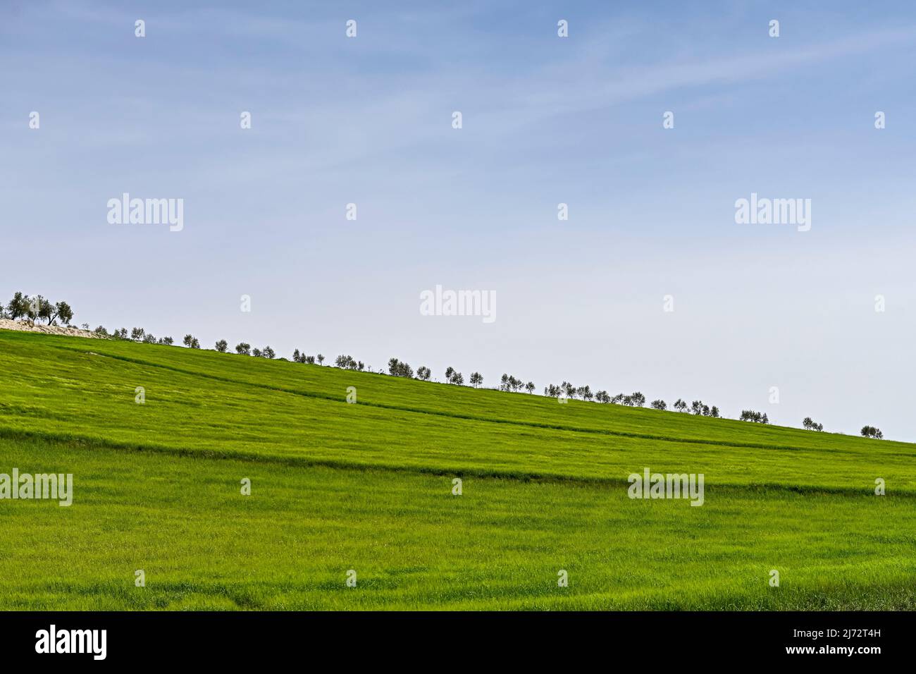 Undulating landscape hi-res stock photography and images - Alamy