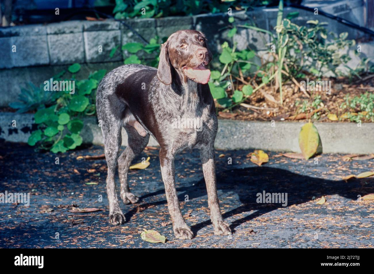 Standing near house hi-res stock photography and images - Alamy
