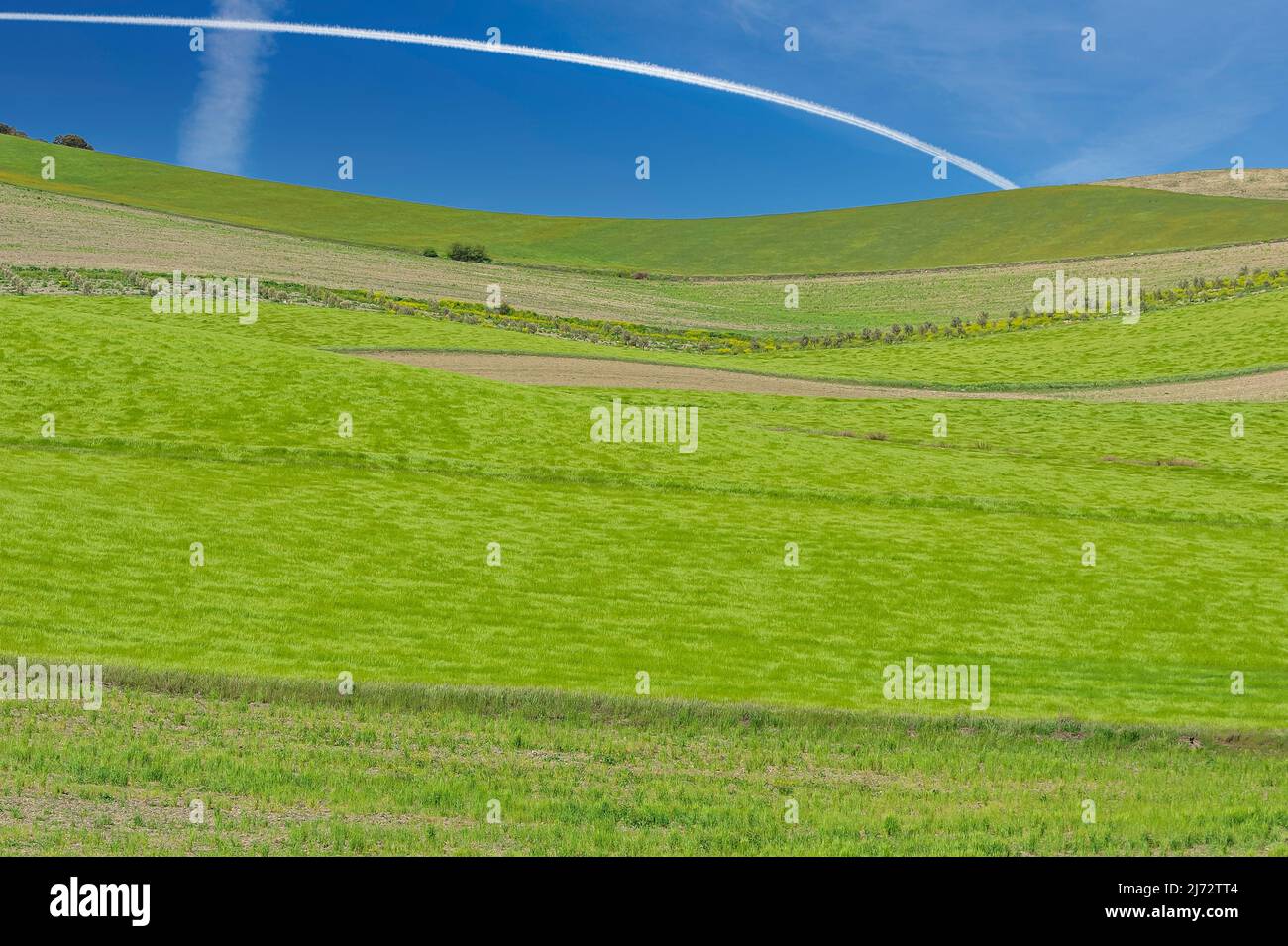 Slightly undulating hi-res stock photography and images - Alamy