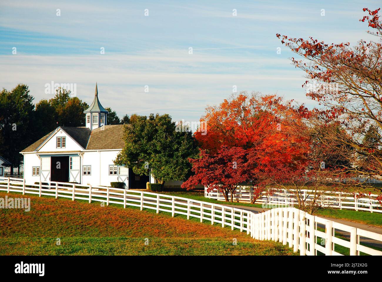 Autumn on a horse farm, Kentucky Stock Photo - Alamy