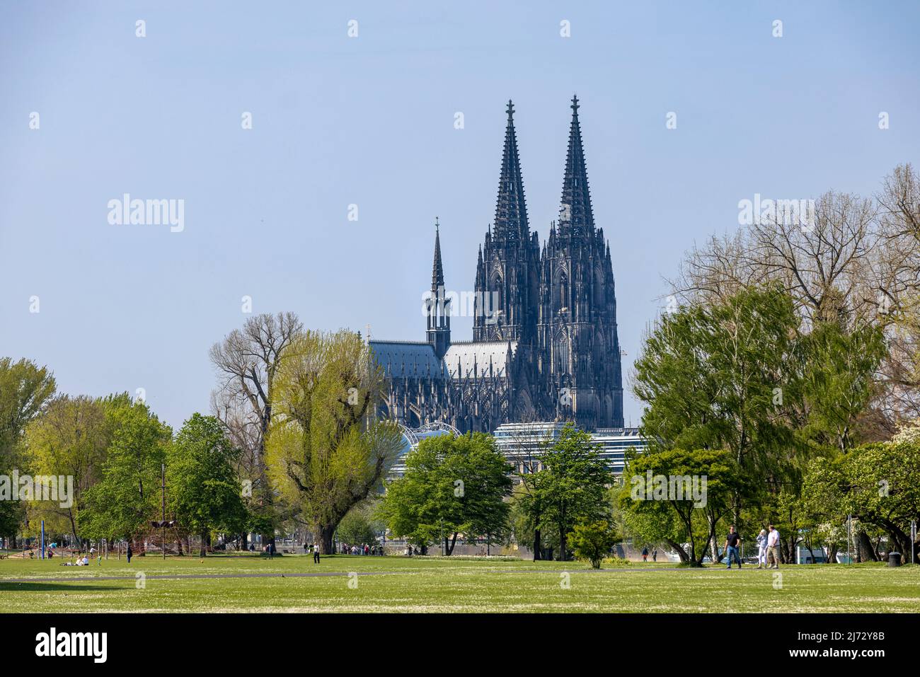Cologne Cathedral twin towers rising above city skyline on a bright ...