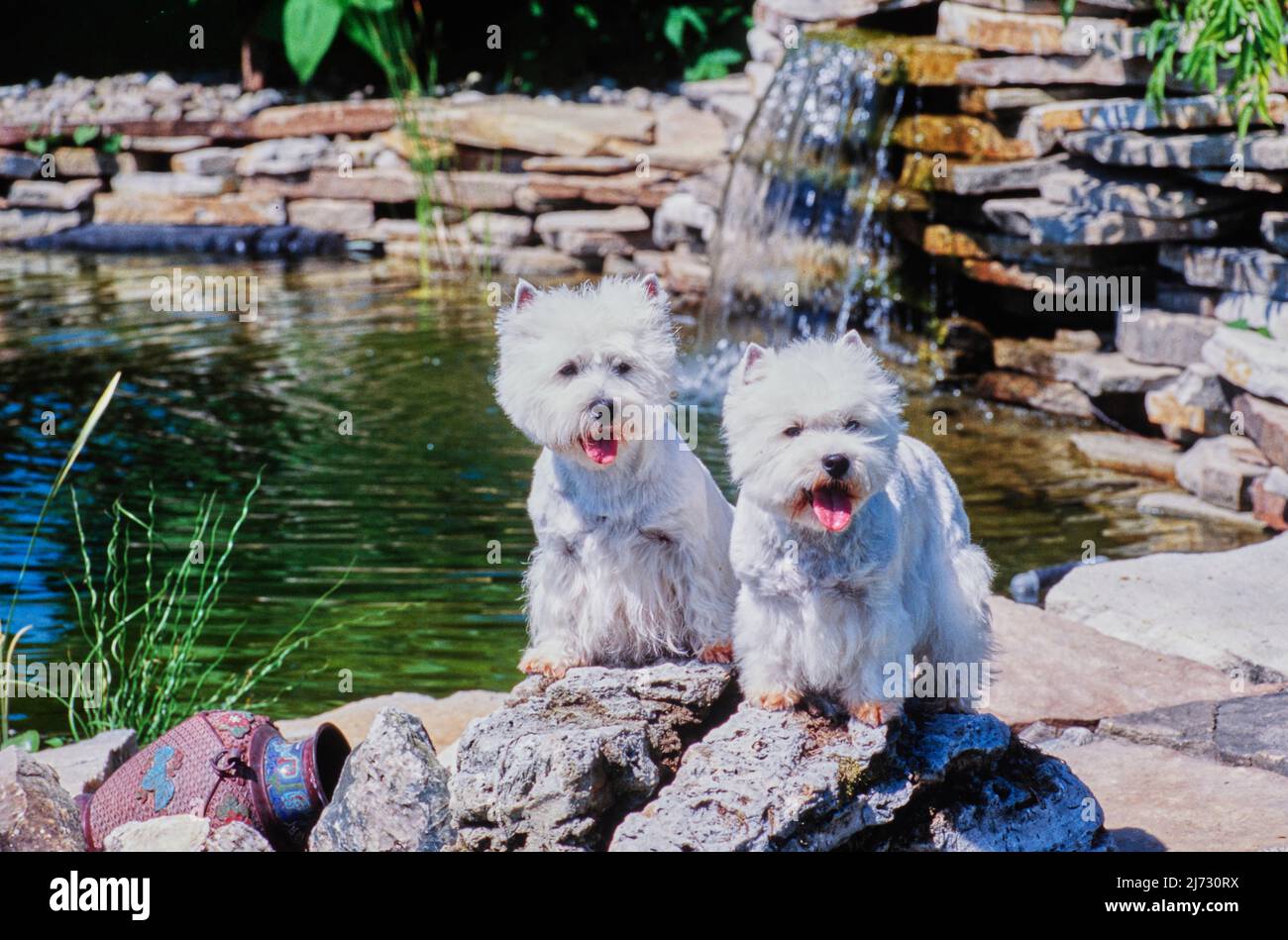 Highland pond hi-res stock photography and images - Alamy