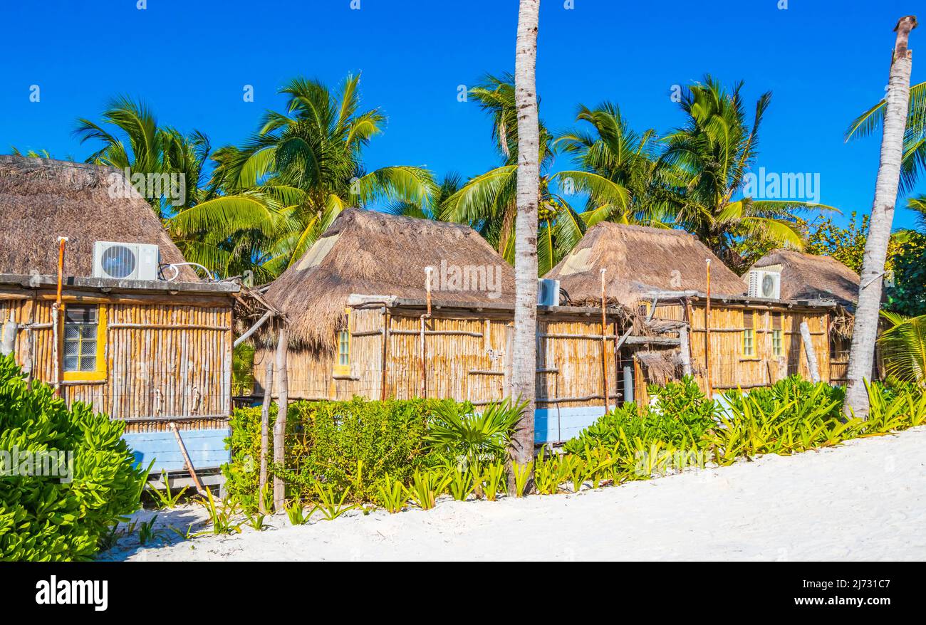 Tropical natural mexican beach panorama with palm trees and huts in ...
