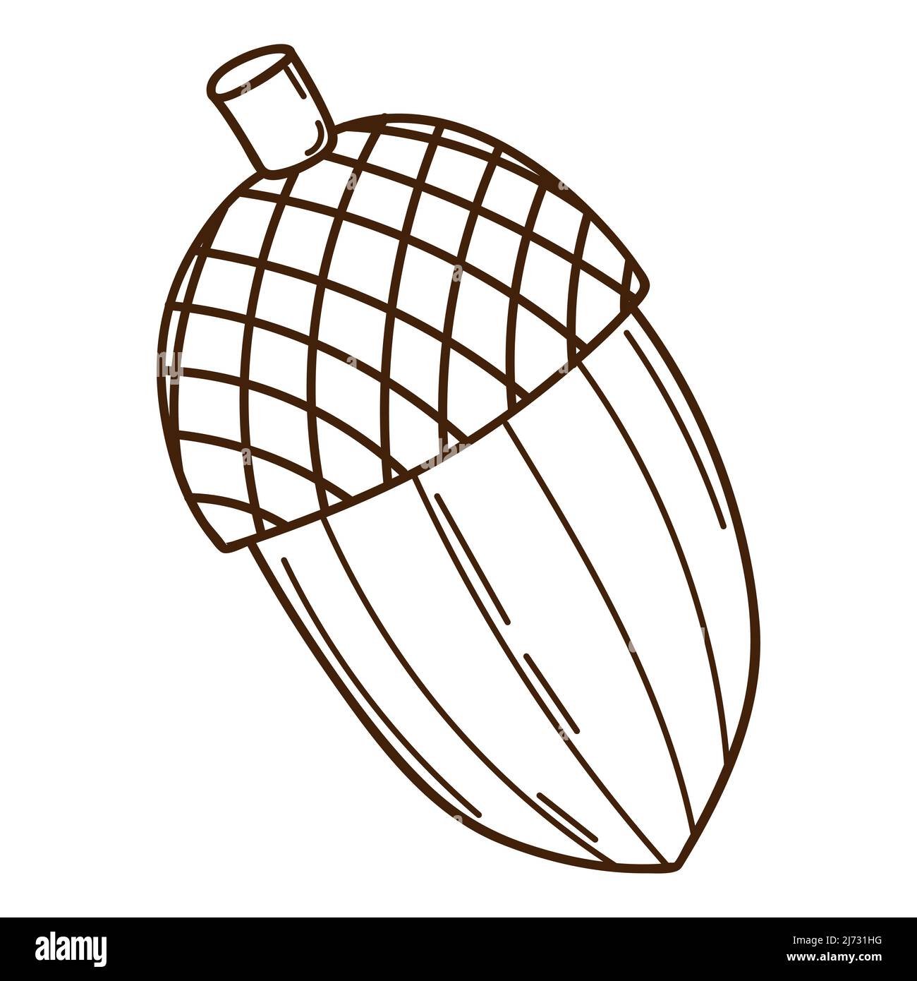 Hand drawn decorative oak Cut Out Stock Images & Pictures - Alamy