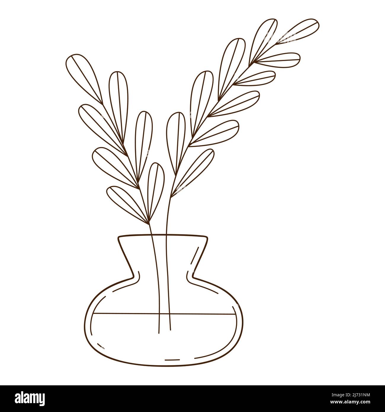 Simple twigs with leaves in a vase of water. A home decor item. Design ...