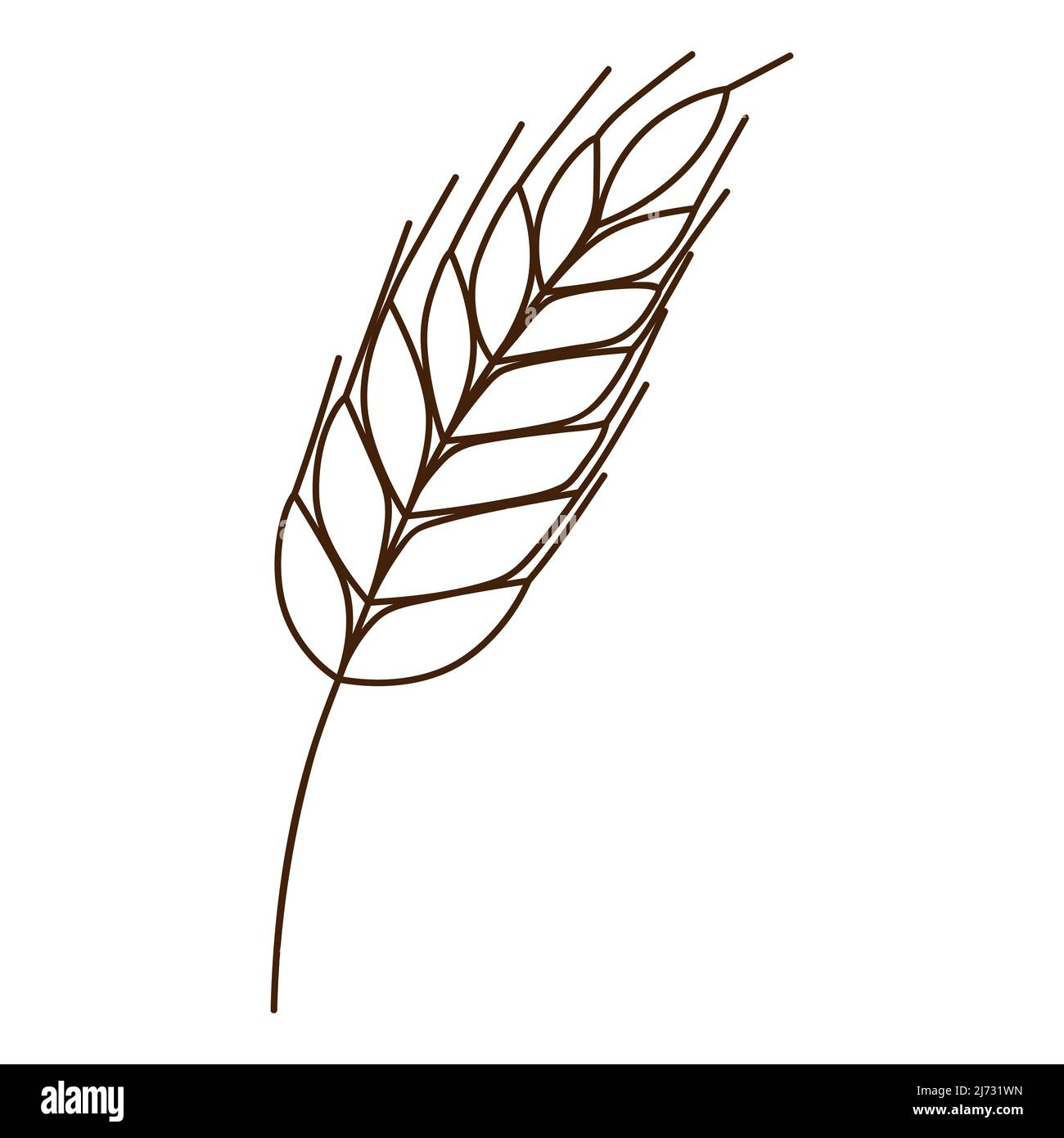 Golden rye twig Stock Vector Images - Alamy