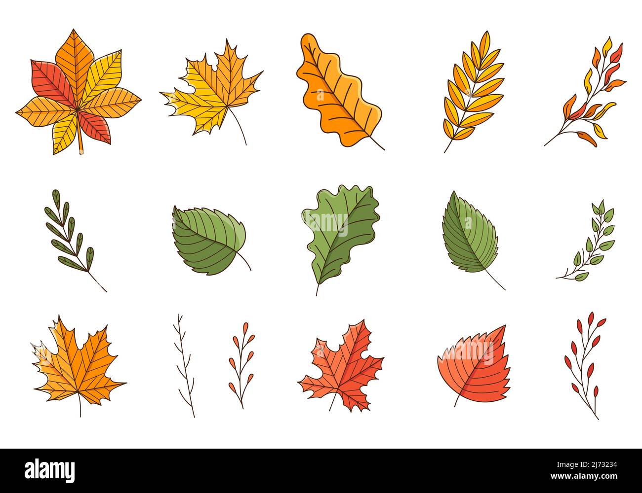 Colorful dry fallen maple Stock Vector Images - Alamy