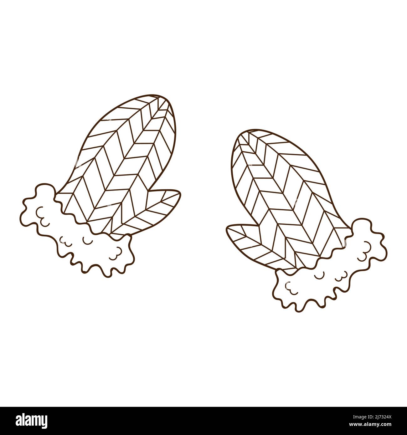 A pair of knitted mittens. Autumn and winter clothing. Design element ...