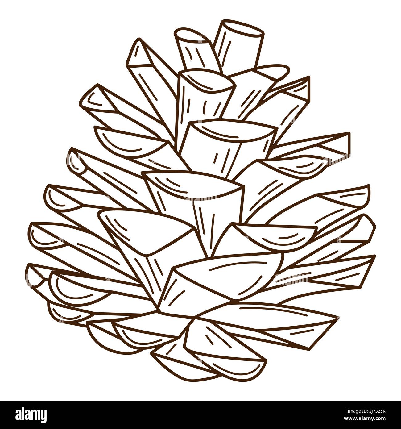 Pine Cone Outline