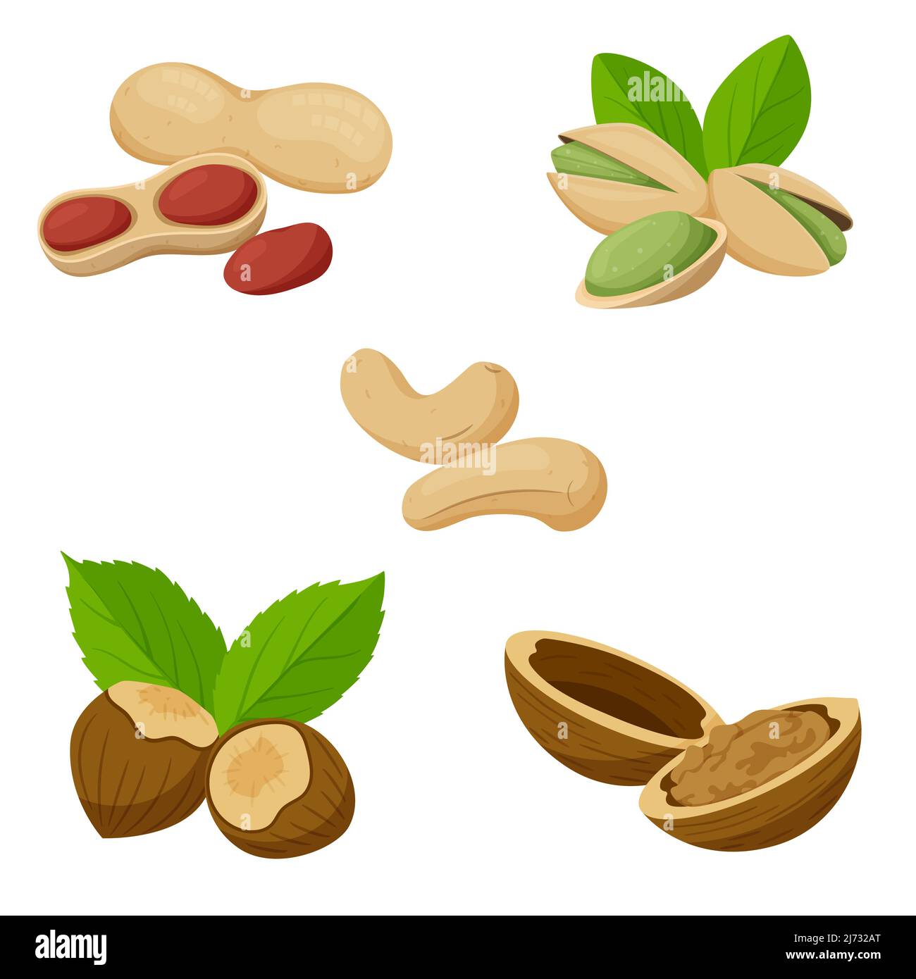 A set of different nuts. Cashews, peanuts, pistachios, hazelnuts ...