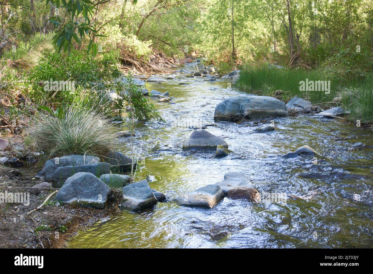 Southwest desert running hiking hi-res stock photography and images - Alamy