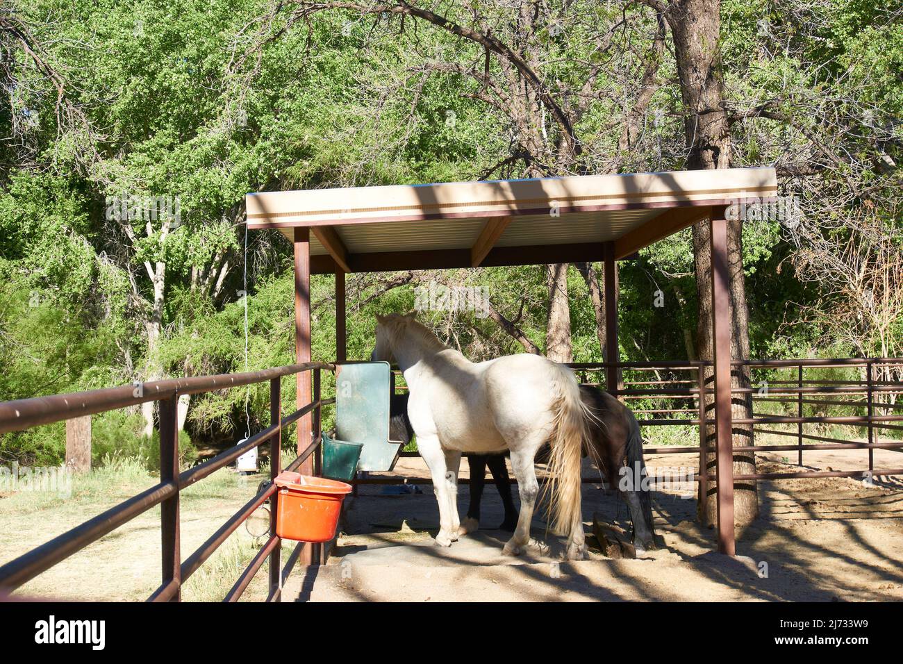 Southwest usa stable horse hi-res stock photography and images - Alamy