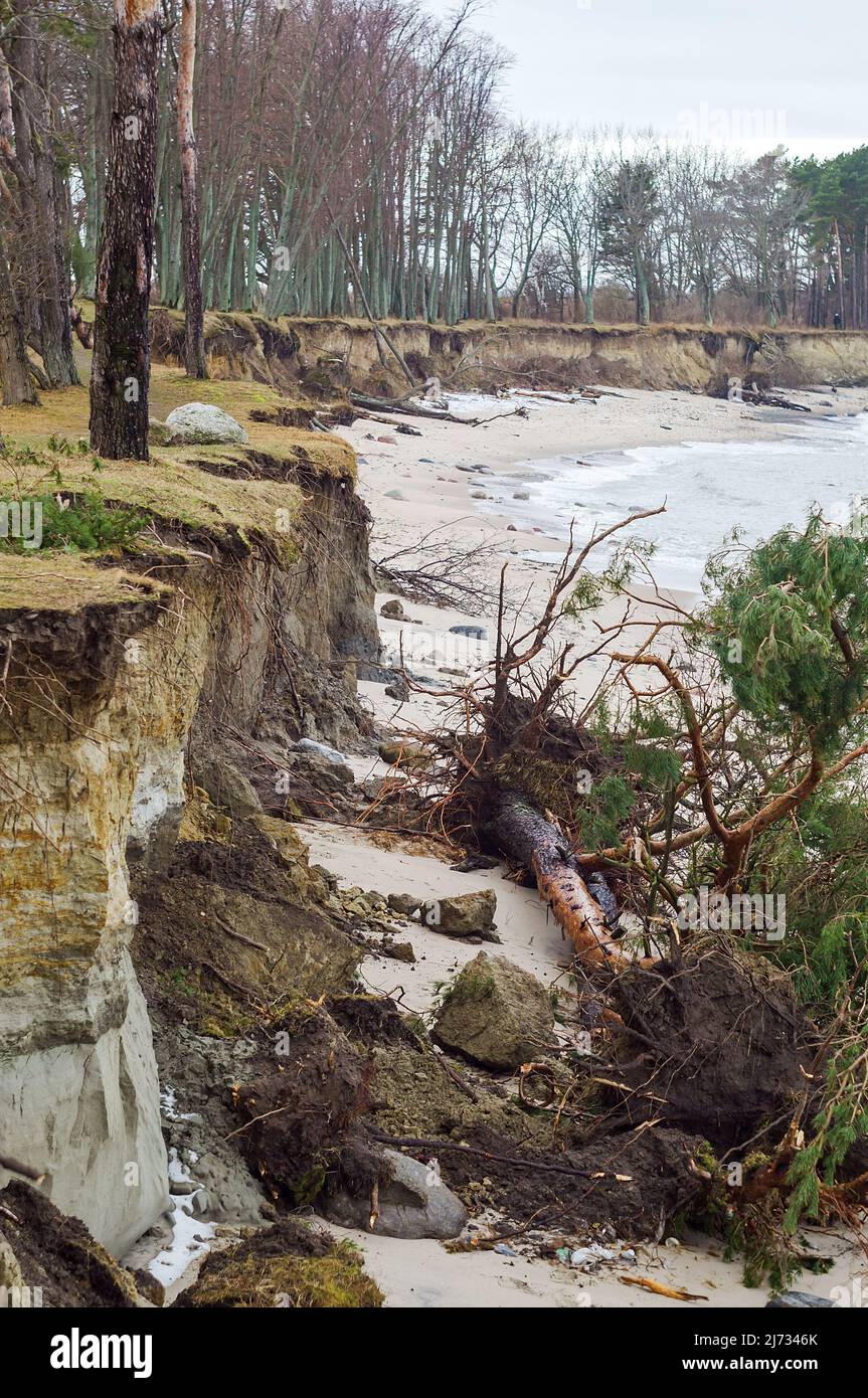 The devastation after the storm. Consequences of the sea storm ...