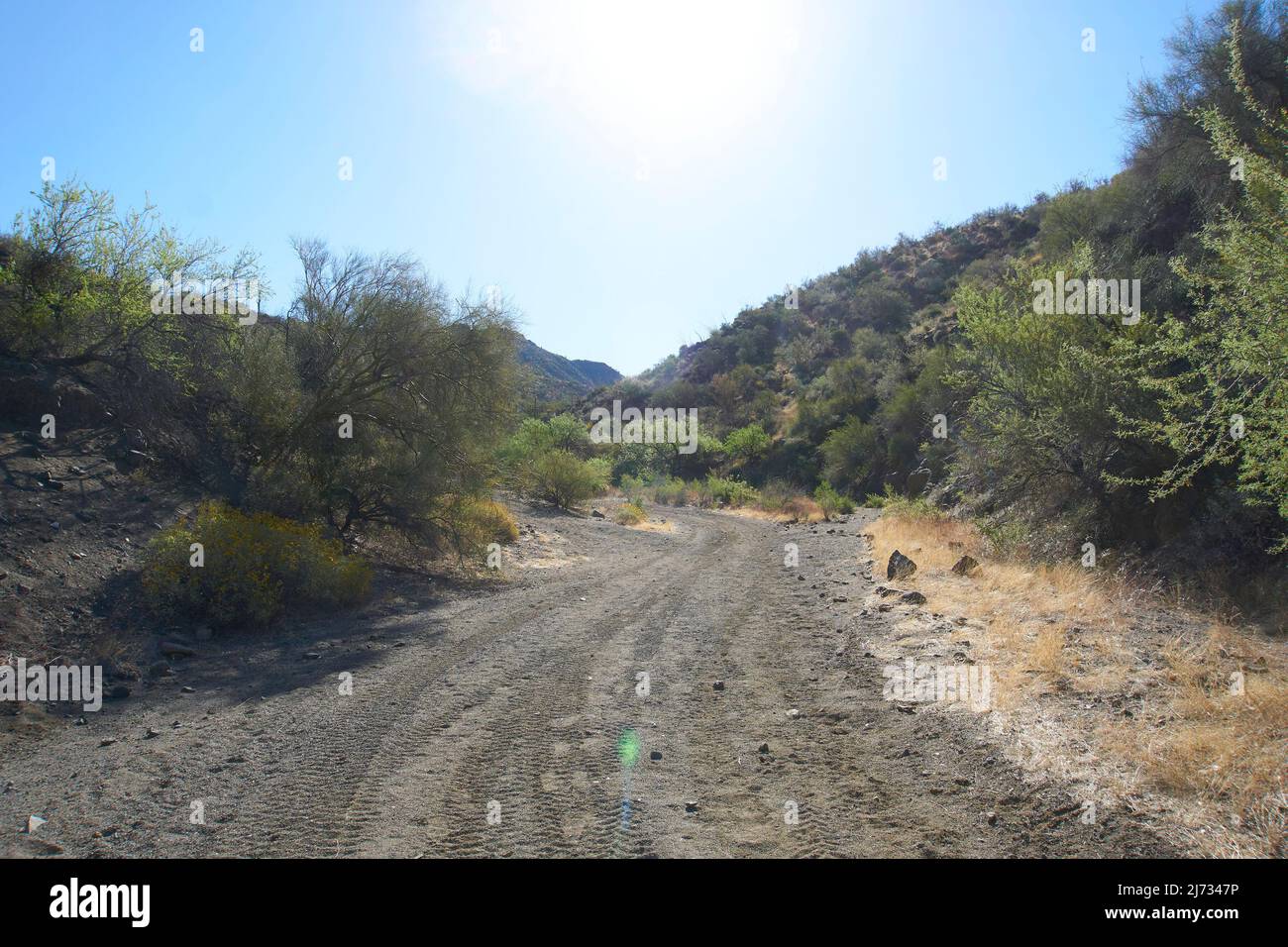 Winkleman arizona hi-res stock photography and images - Alamy