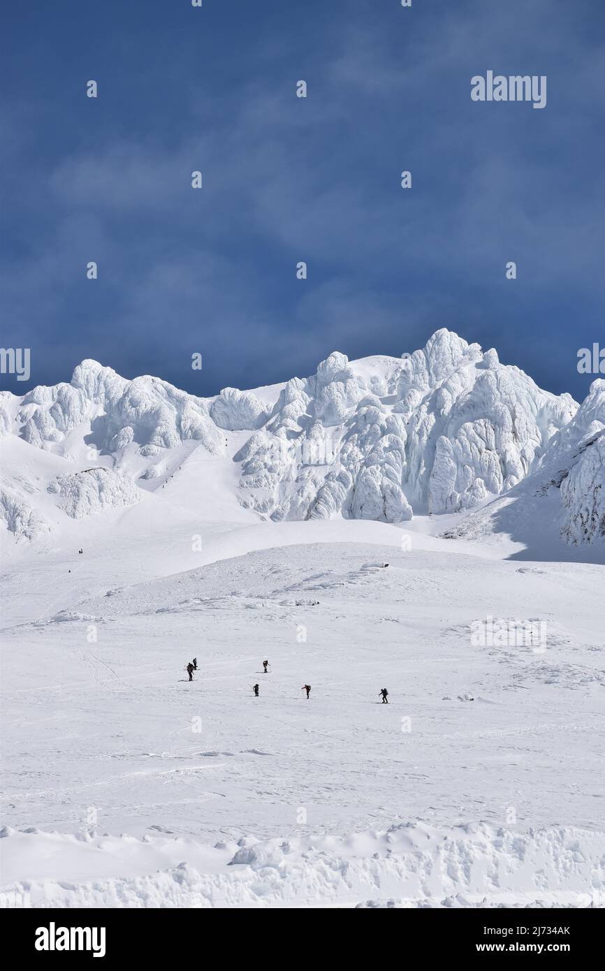 Climbers below the steep icy summit area of Mt Hood, attempting to ...